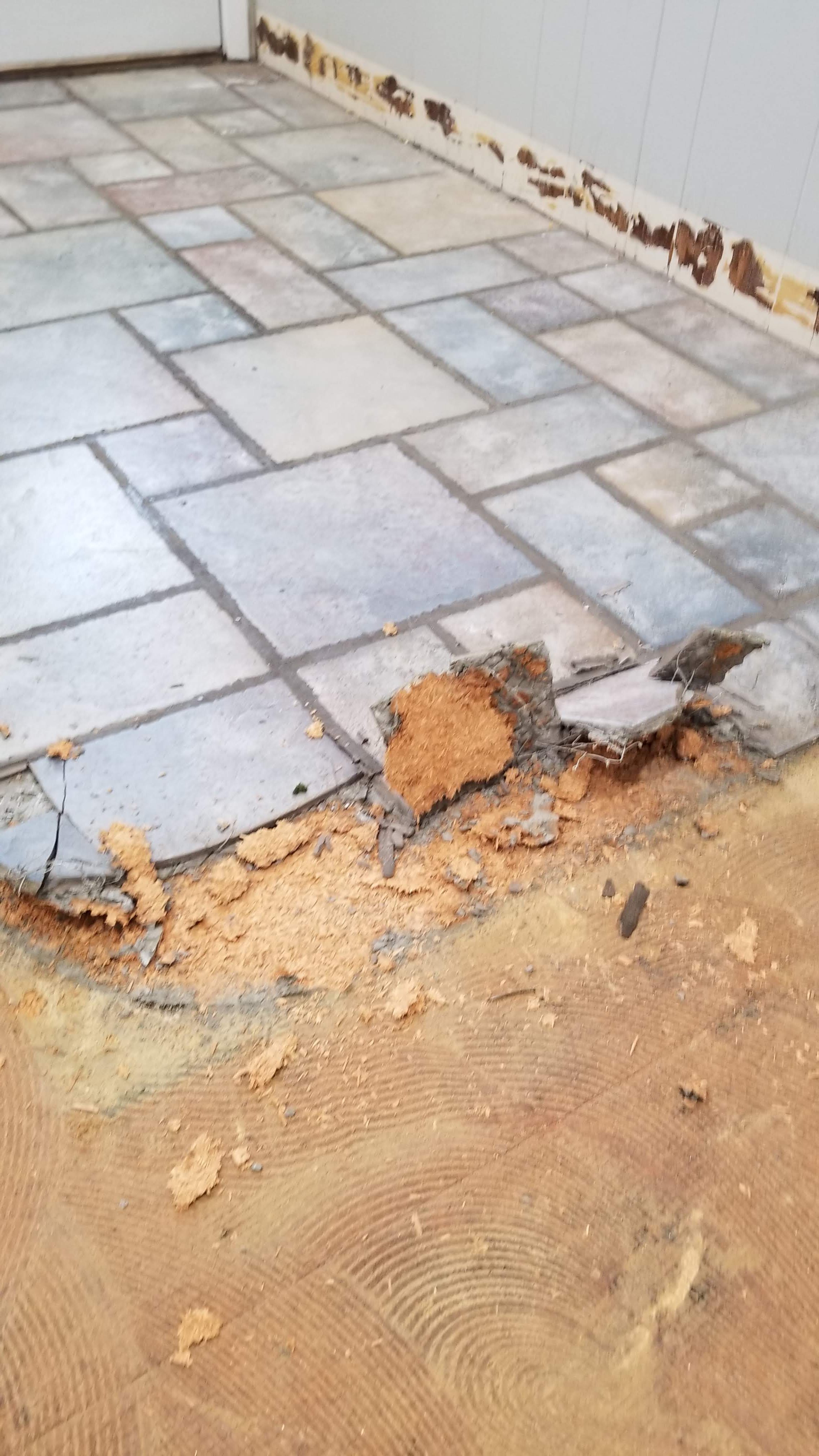 New Look|Smile Dental | 887-smile.com | Included in Best Dentist ...